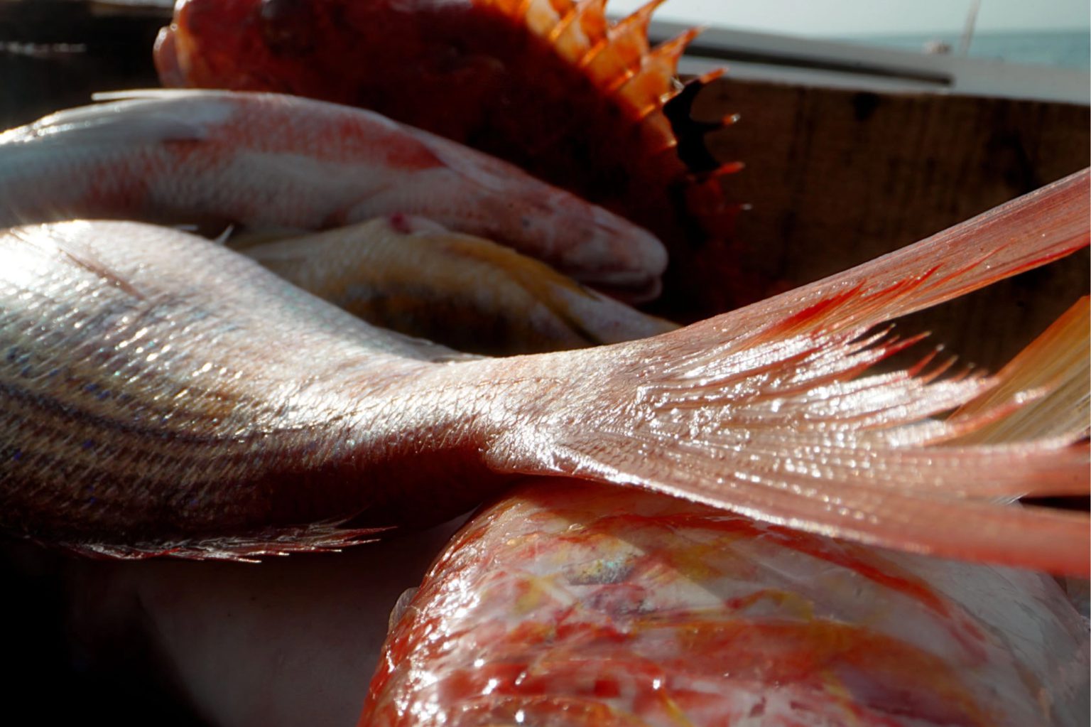 Home - Estiatorio Milos